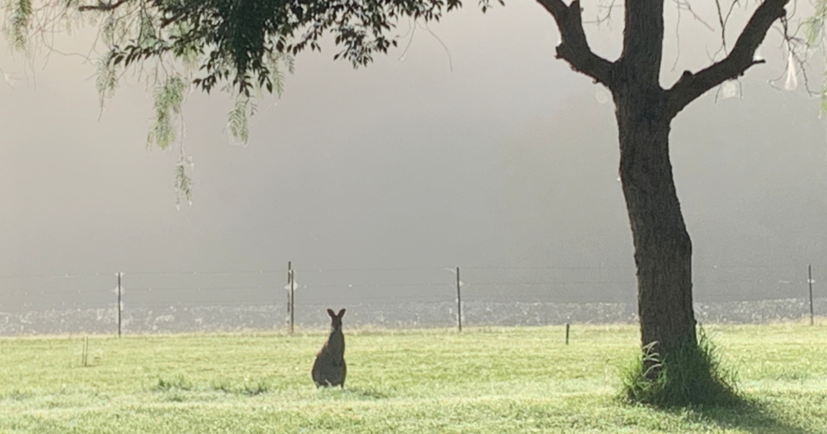 November 2024 Rainfall - Putty Valley Online