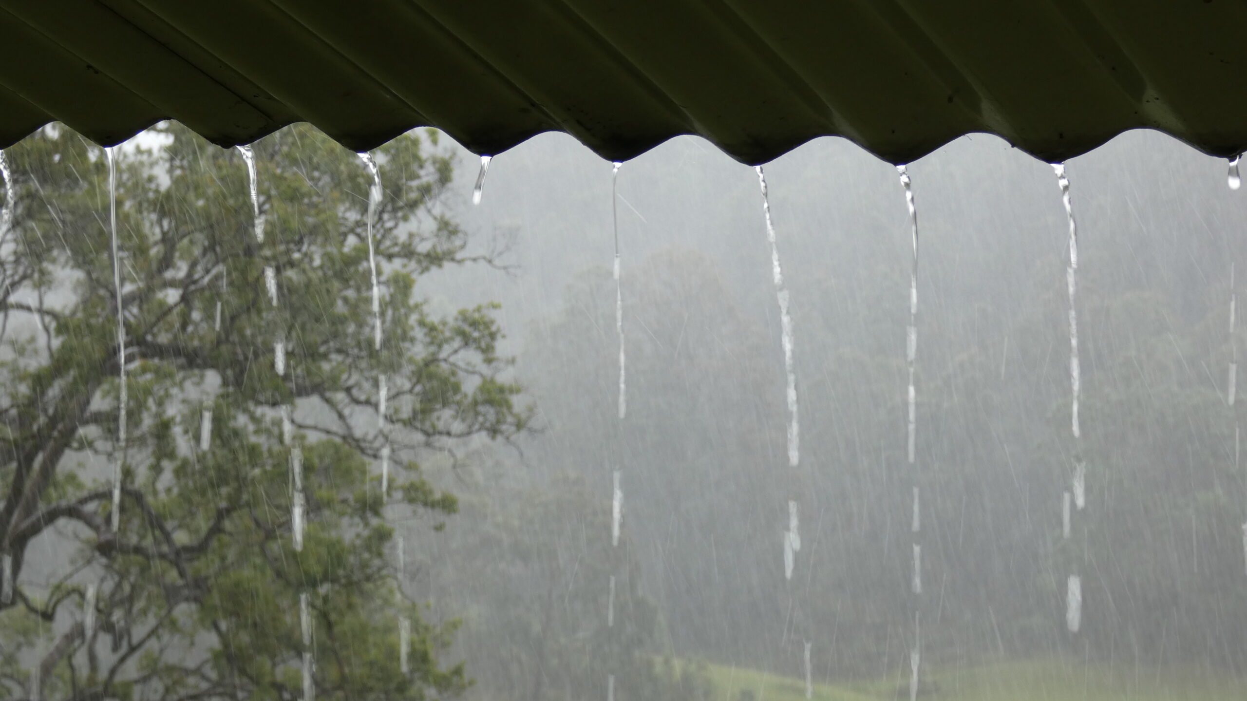 Putty Rainfall February 2025 - Putty Valley Online